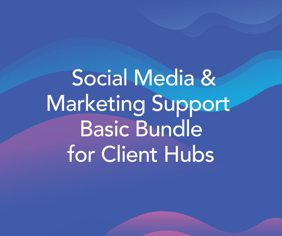 Social Media & Marketing Support Basic Bundle (Client Hub) - Bizink