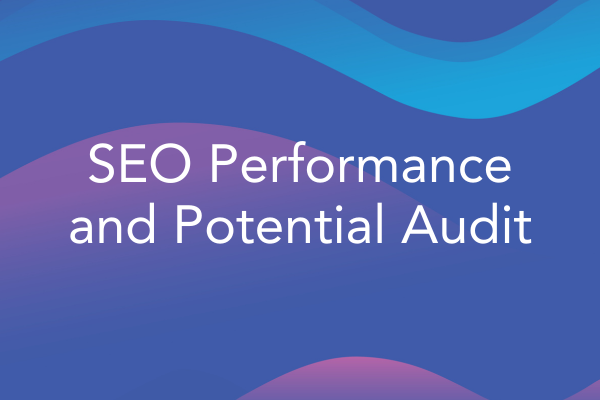 SEO Performance and Potential Audit - Bizink